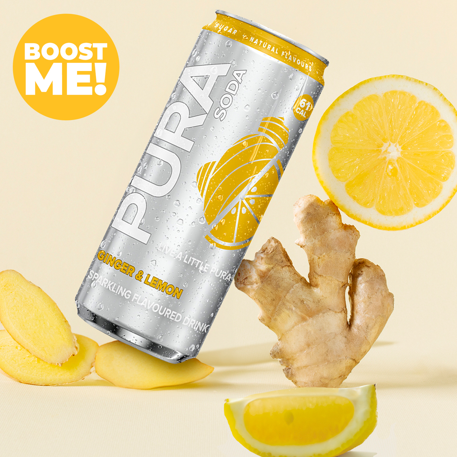 47% off on 24x 300ml Ginger & Lemon Low Sugar Soda | OneDayOnly