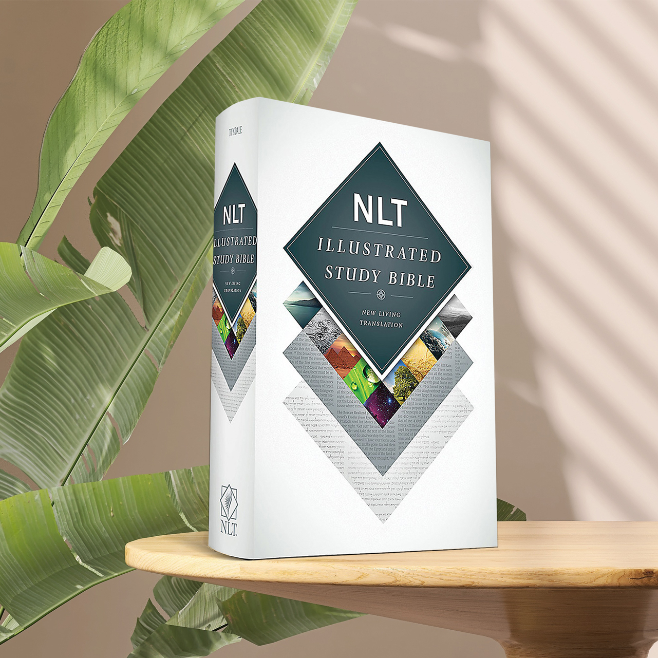 48% off on NLT Illustrated Study Bible | OneDayOnly