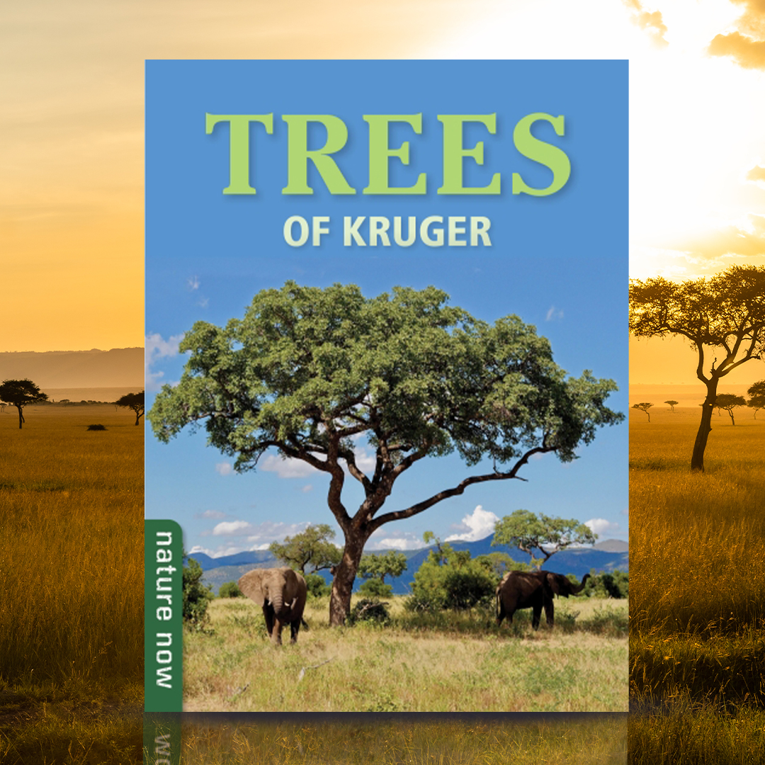 27% off on Nature Now: Trees of Kruger | OneDayOnly