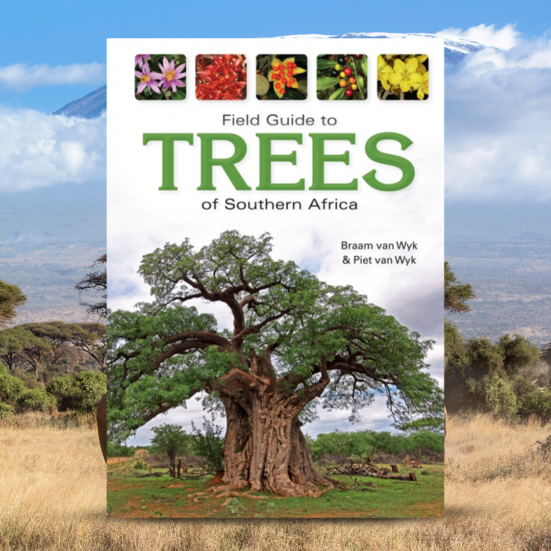 37% off on Field Guide to Trees | OneDayOnly