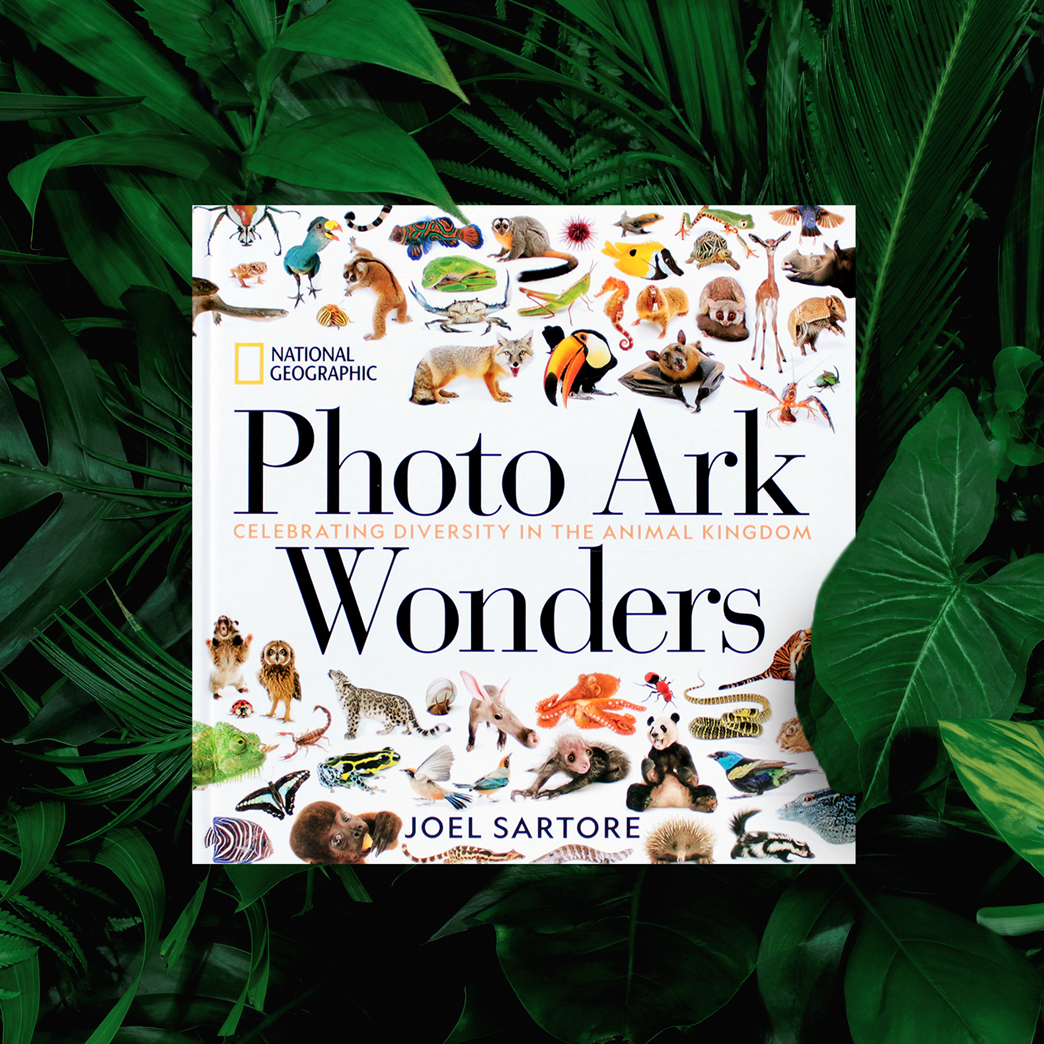 50% off on Joel Sartore Photo Ark Wonders | OneDayOnly