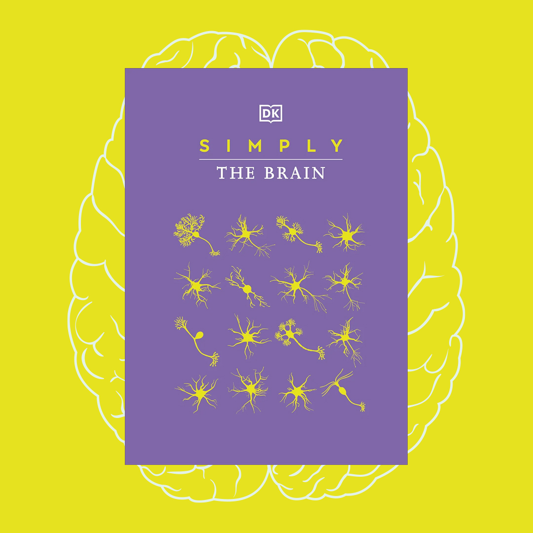 20% off on DK Simply The Brain (Hardcover) | OneDayOnly