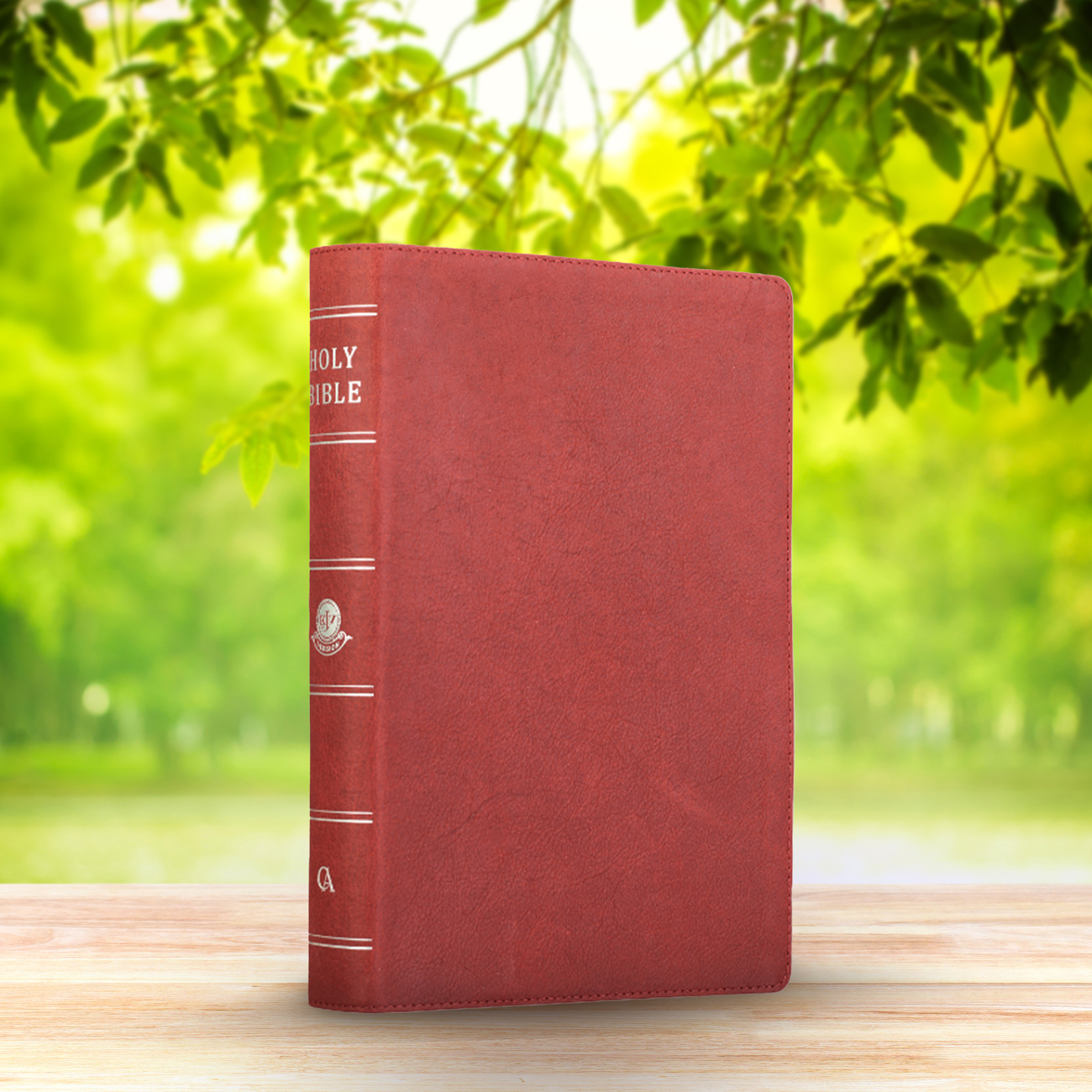 46% off on KJV Giant Print Burgundy Bible | OneDayOnly