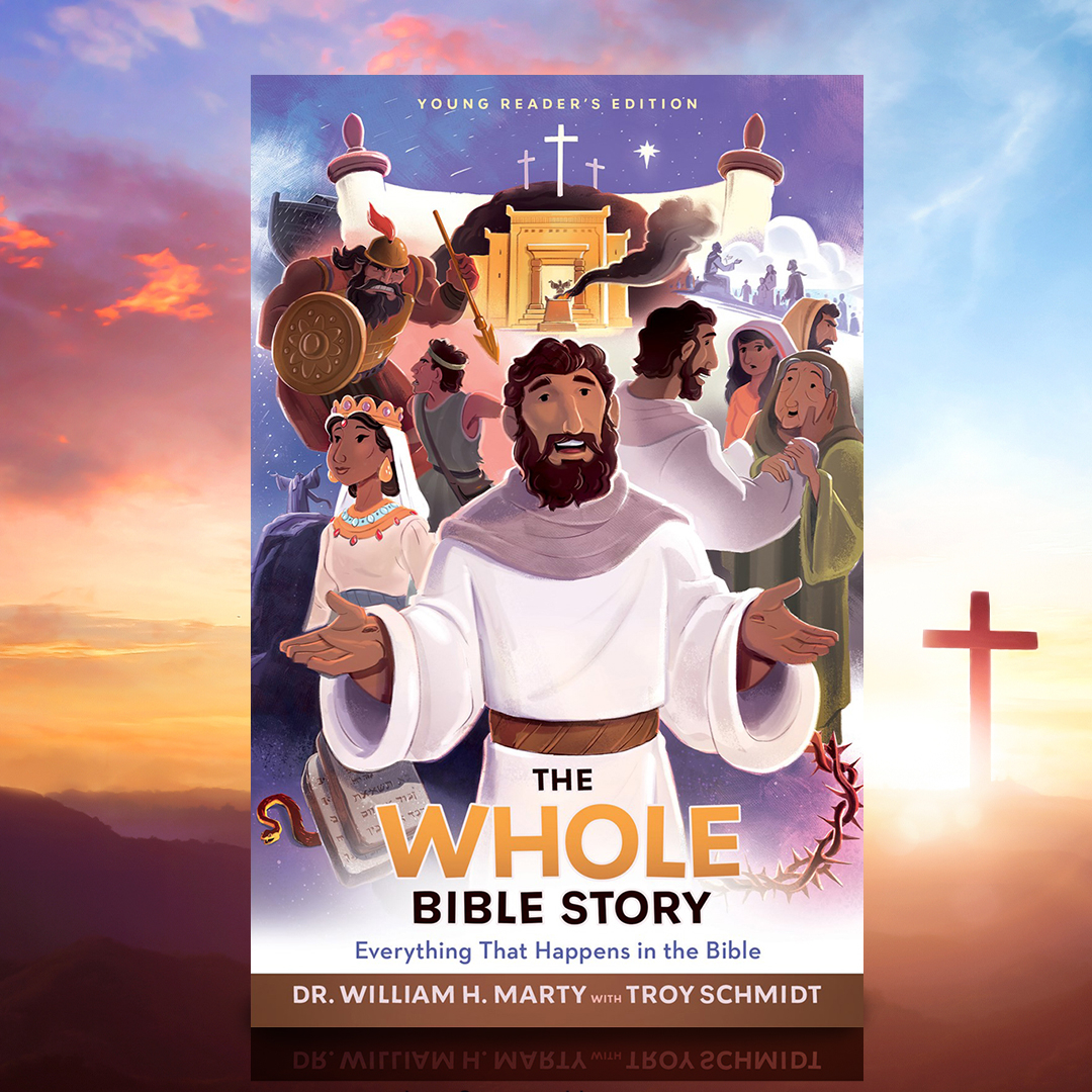 24% off on The Whole Bible Story | OneDayOnly