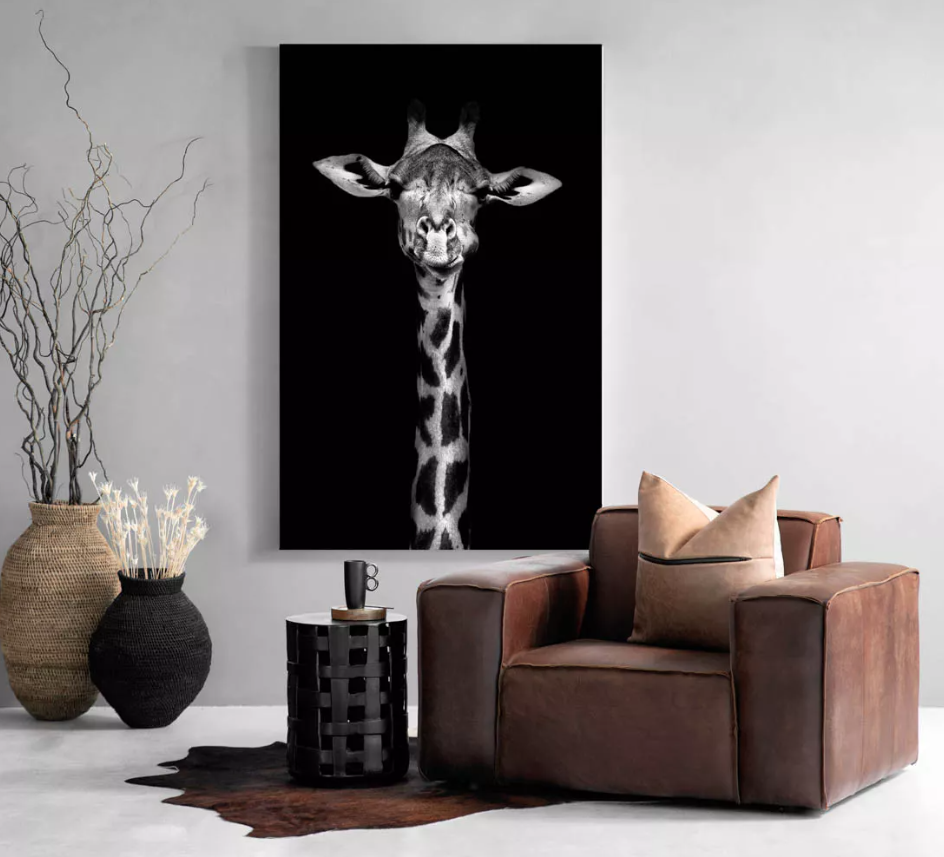 21% off on Canvas Art Giraffe Premium Canvas | OneDayOnly