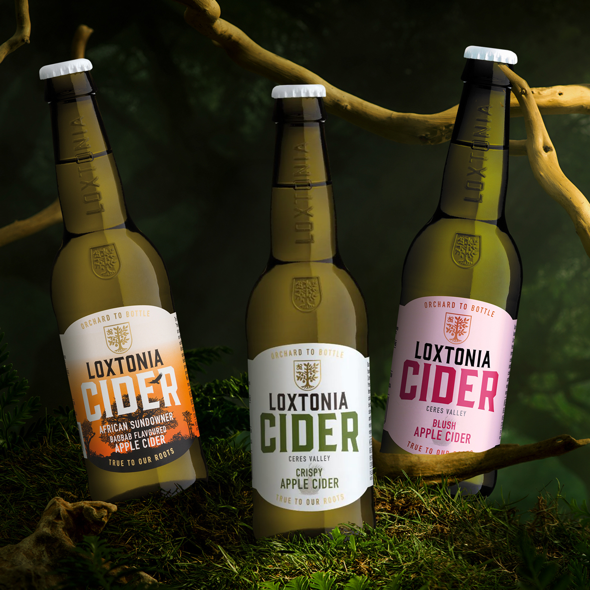 Loxtonia 24x 340ml Apple Ciders | OneDayOnly