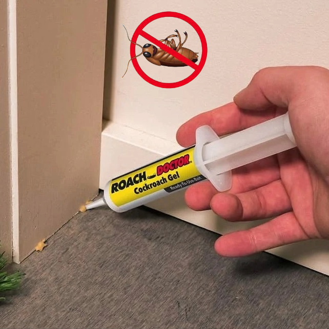 51% off on Roach Expert 2x 5g Cockroach Gels | OneDayOnly