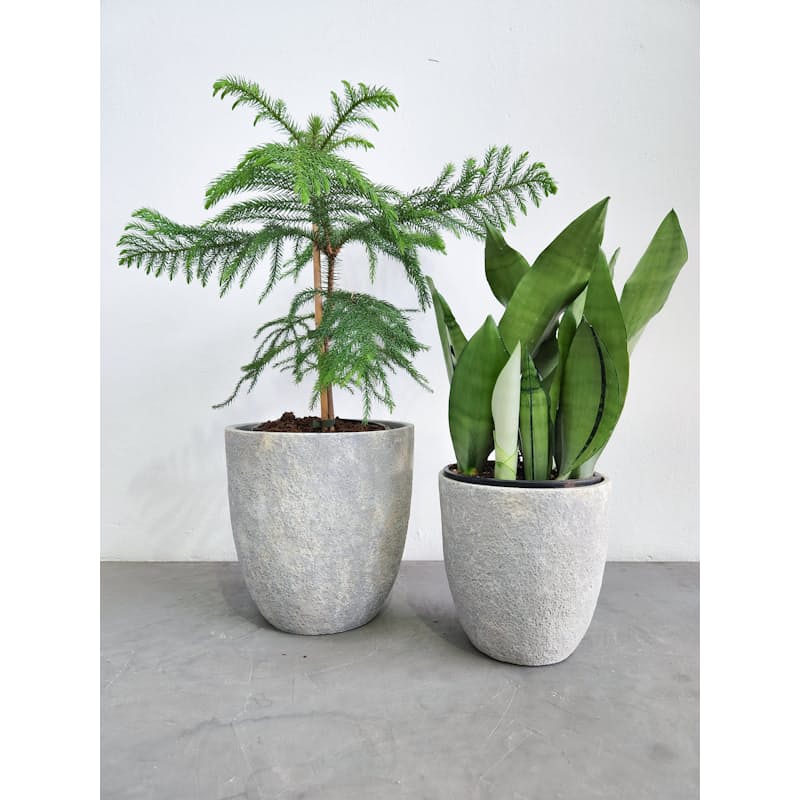 44 Off On Potanical 2x Weathered Plant Pots Onedayonly