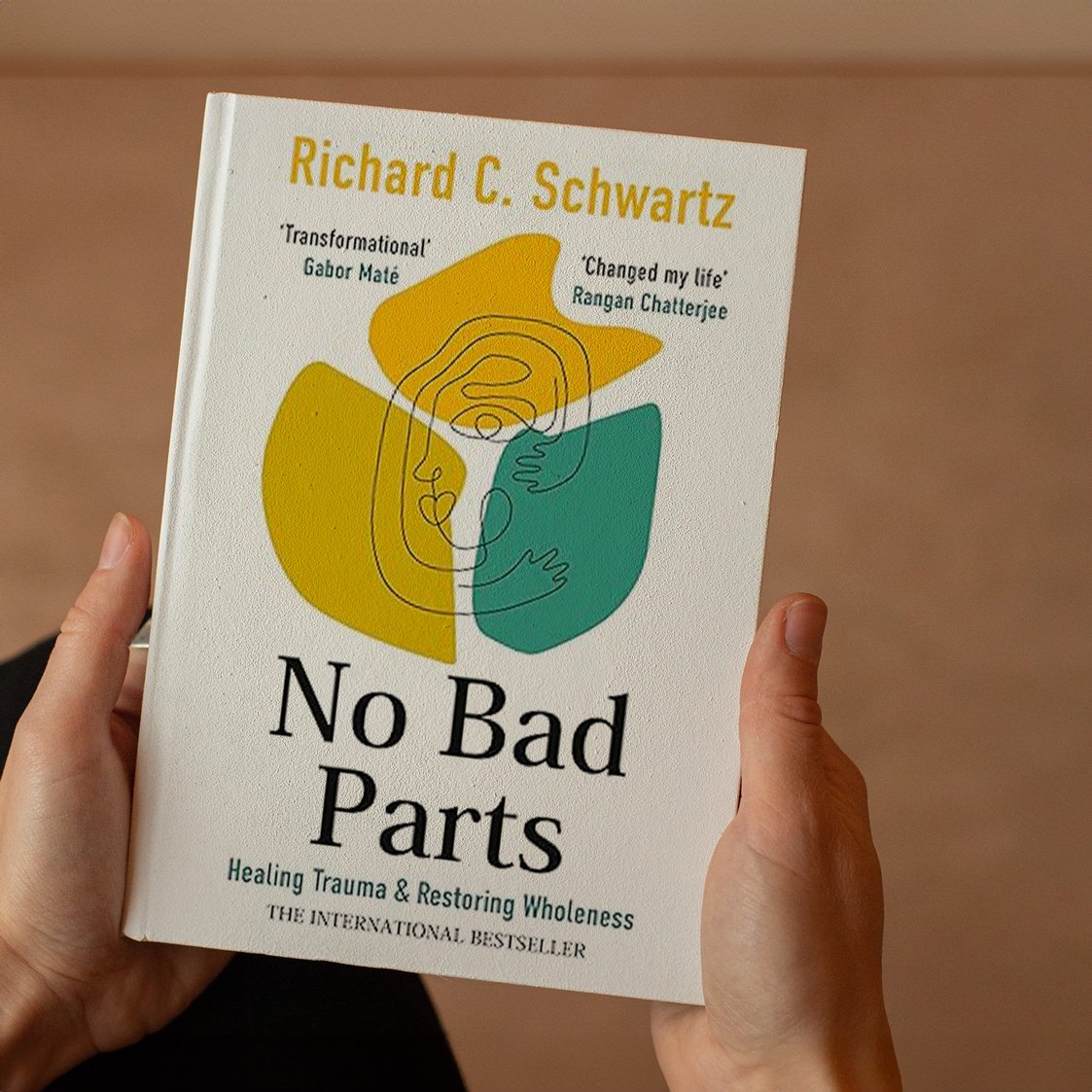 36% off on Richard Schwartz No Bad Parts | OneDayOnly