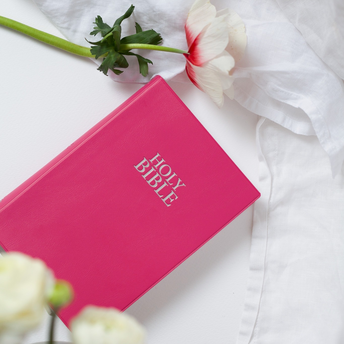 34% off on NIV Vinyl Cerise Pink Bible | OneDayOnly