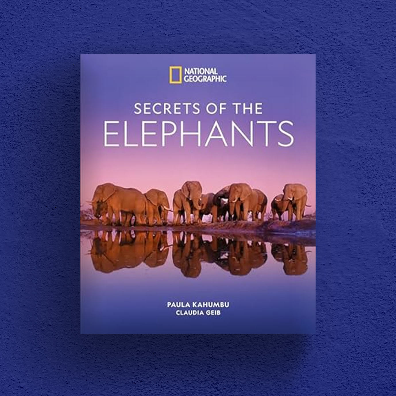 36% off on Secrets of the Elephants (Hardcover) | OneDayOnly
