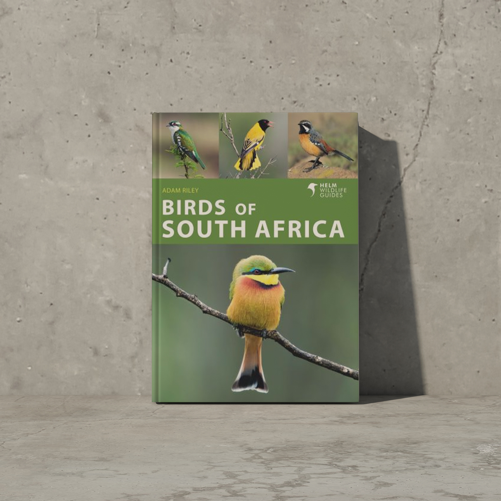 23% off on Adam Riley Birds Of South Africa | OneDayOnly