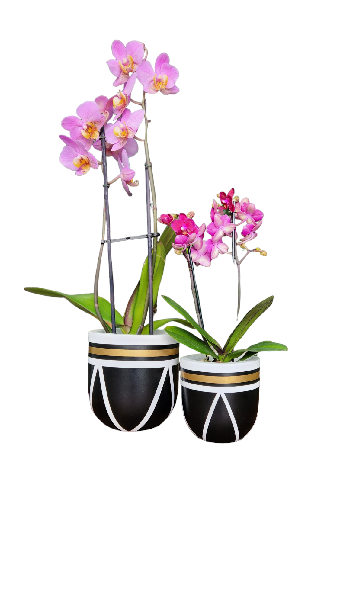 40% off on Potanical 2x Hercules Indoor Pots | OneDayOnly