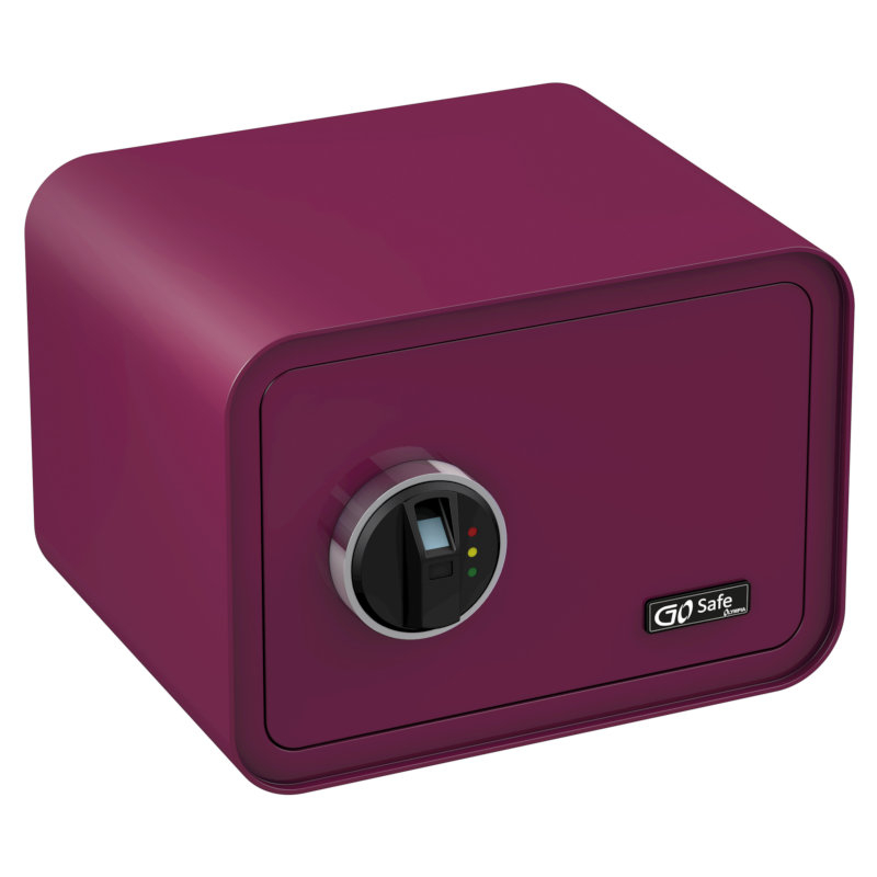 23% off on 4mm Thick GOSafe Fingerprint Safe | OneDayOnly