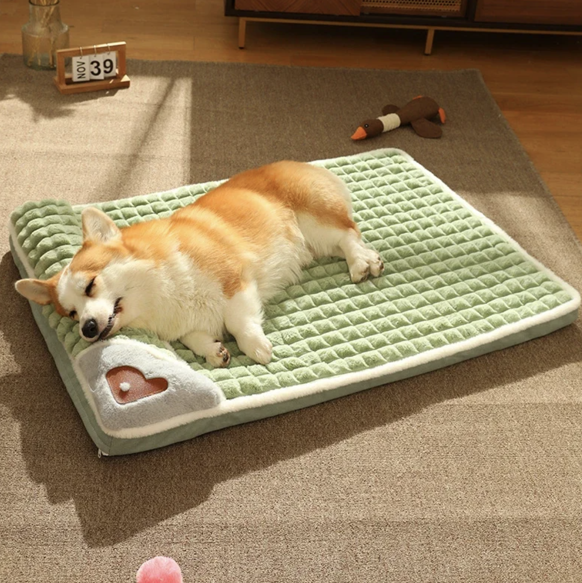 34-off-on-luxe-pet-cushioned-dog-bed-onedayonly