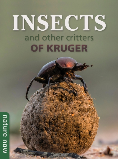 22% off on Insects Other Critters of Kruger | OneDayOnly