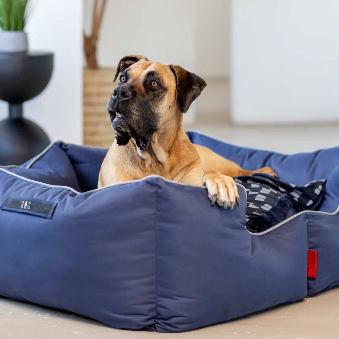 50% off on PETS FUREVER K9 Castle Pet Bed | OneDayOnly