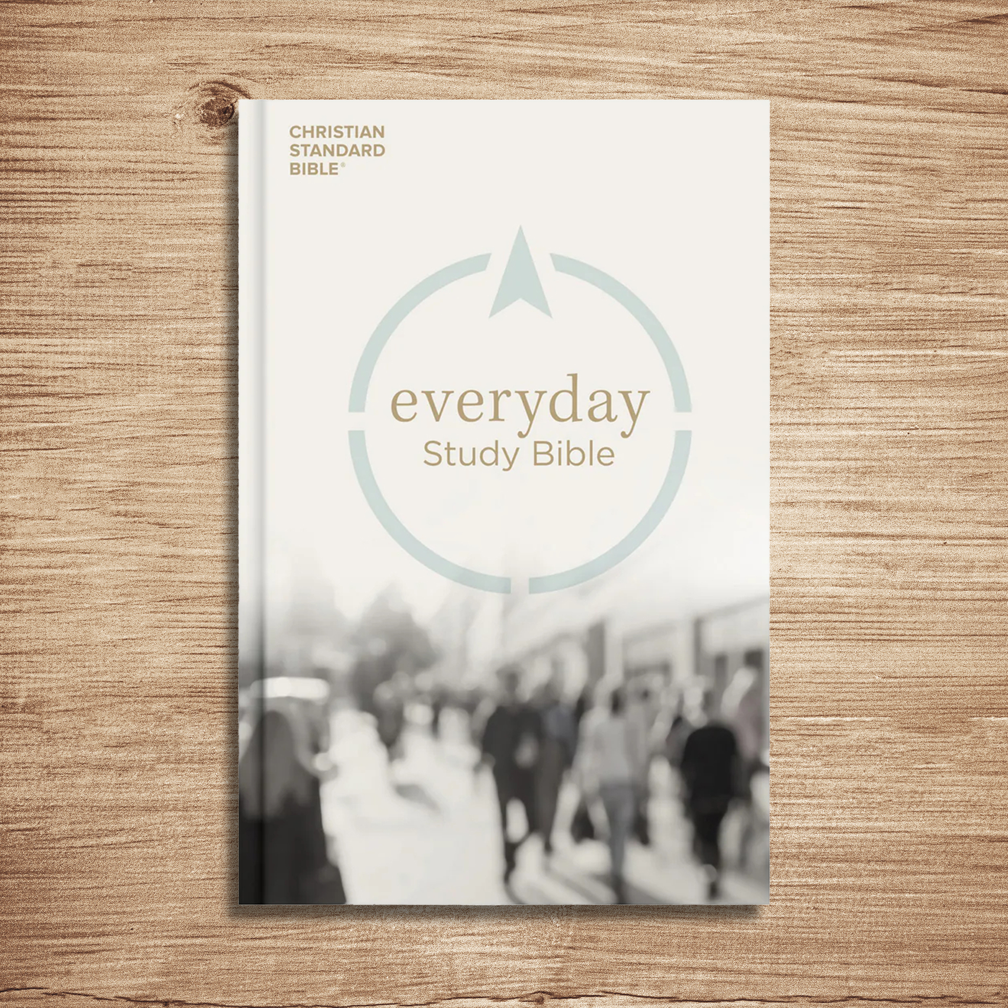 40% off on White Hardcover Everyday Study Bible | OneDayOnly