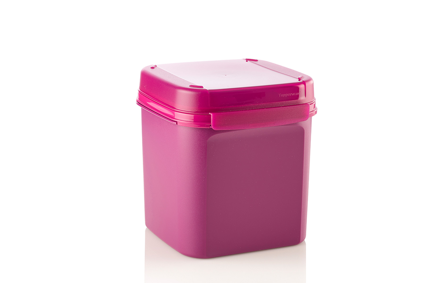 48% off on Tupperware Signature Line Container | OneDayOnly