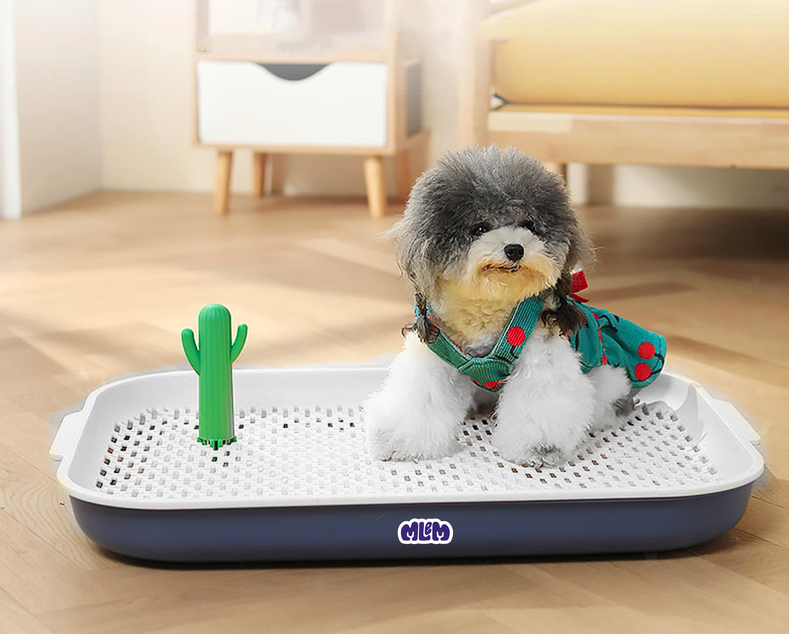 42% off on Splash-Proof Oasis Dog Potty Tray | OneDayOnly