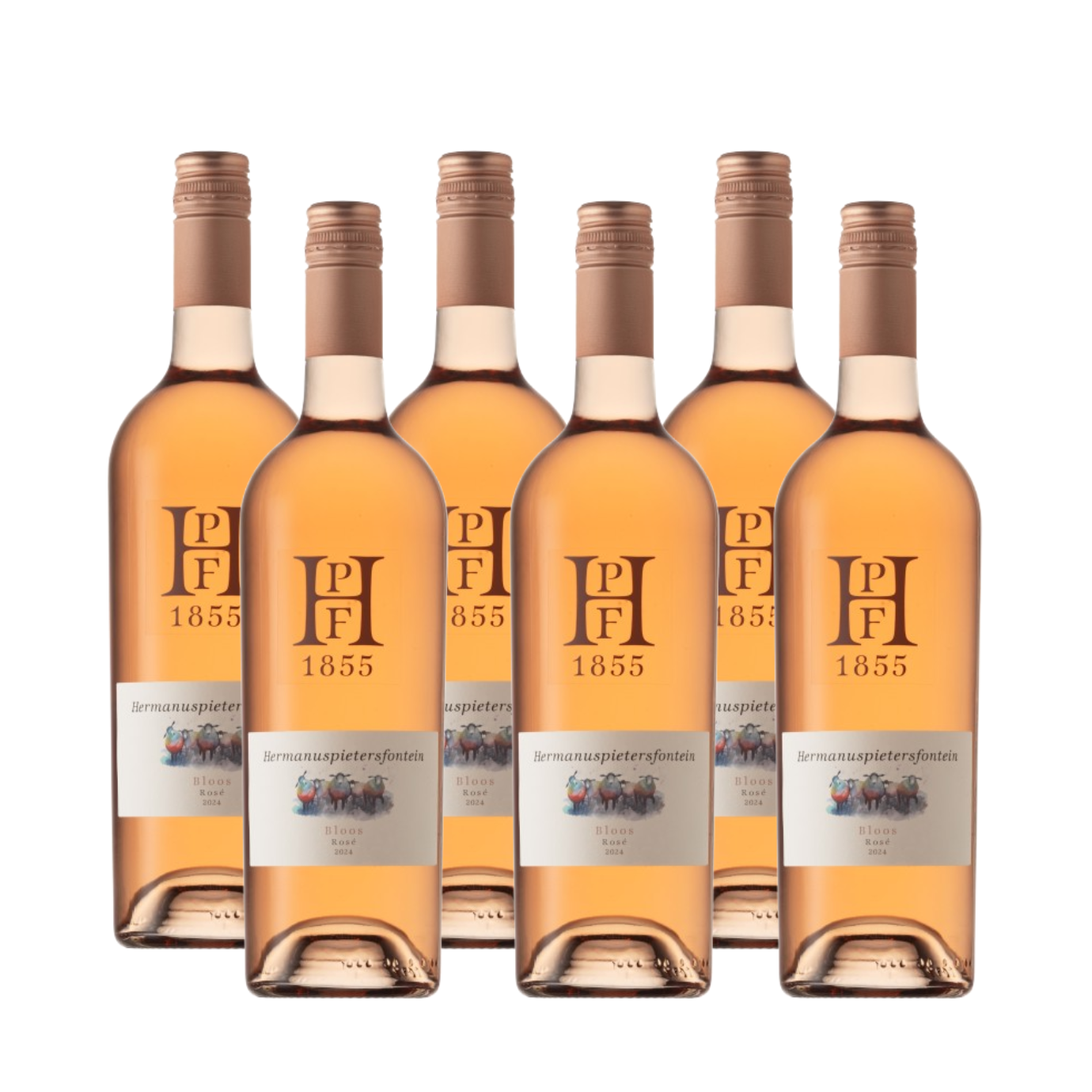 15% off on Hermanuspietersfontein 6x Bloos 2024 | OneDayOnly