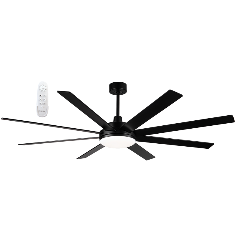 R800 Off On Brightstar Ceiling Fan With Light Onedayonly