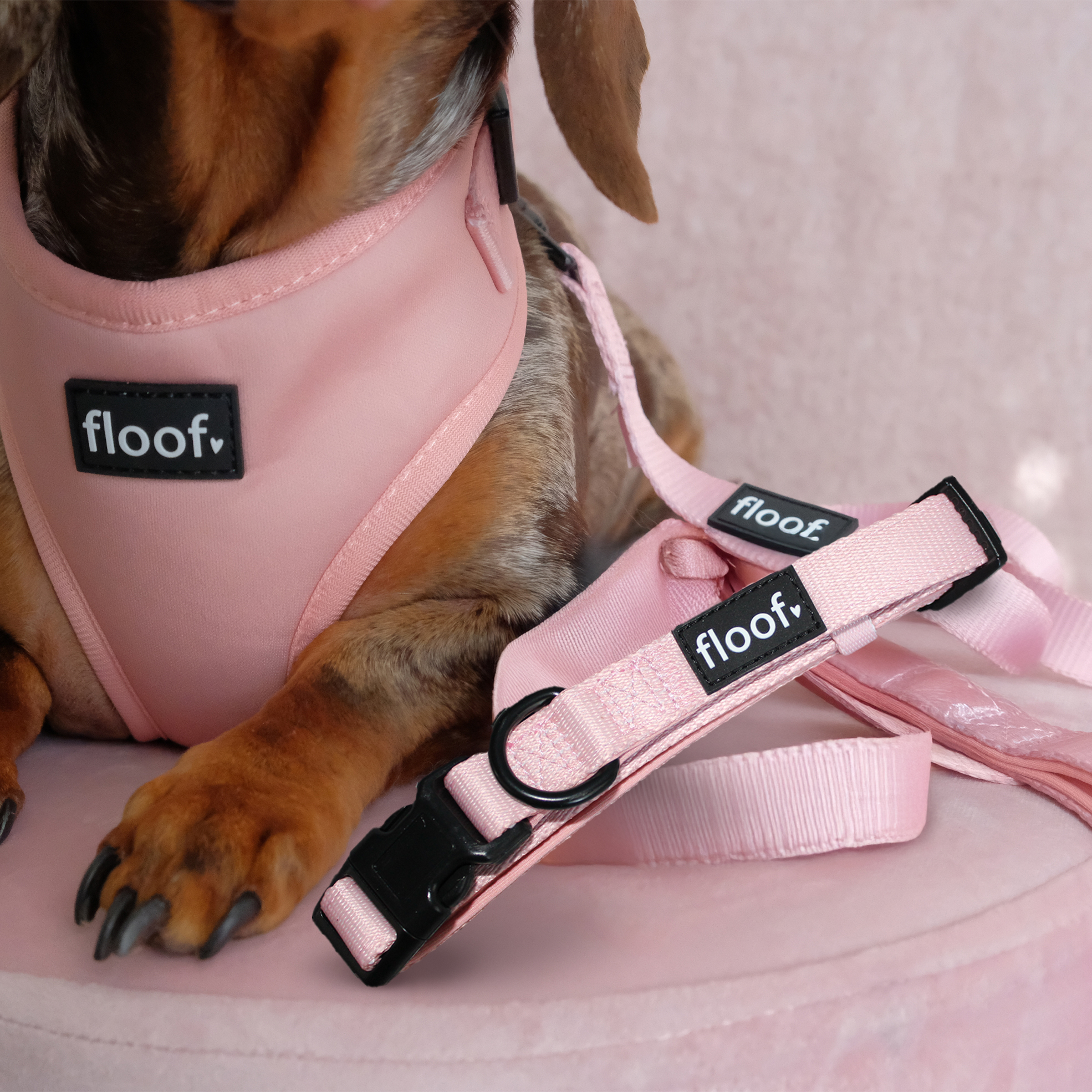 60% off on Floof Dog Walking Set | OneDayOnly