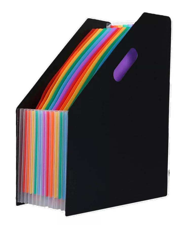 50% off on Sortify Expandable File Folder | OneDayOnly