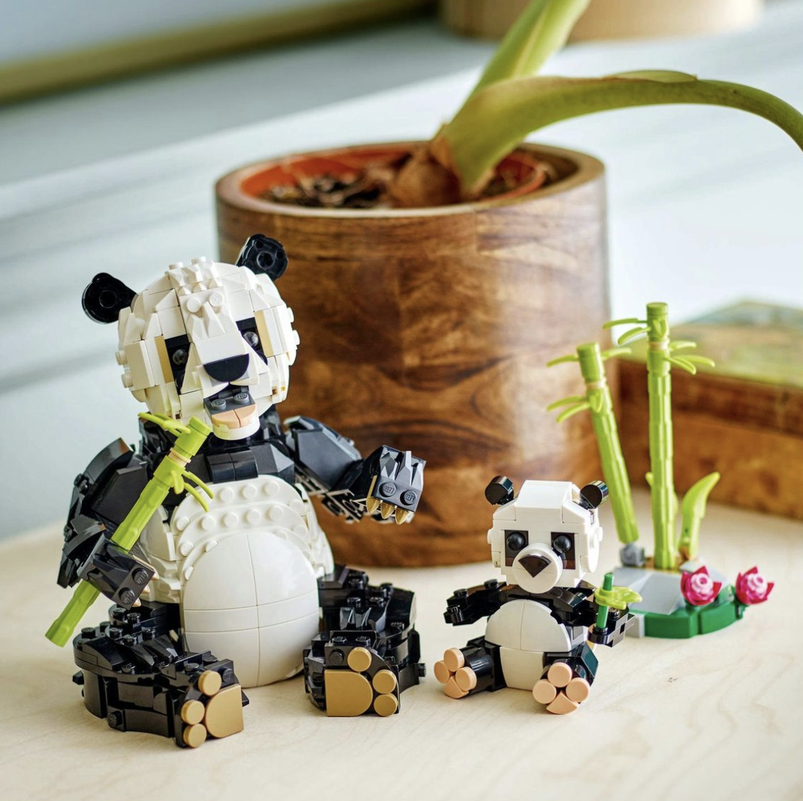18% off on LEGO 3-in-1 Panda Family | OneDayOnly