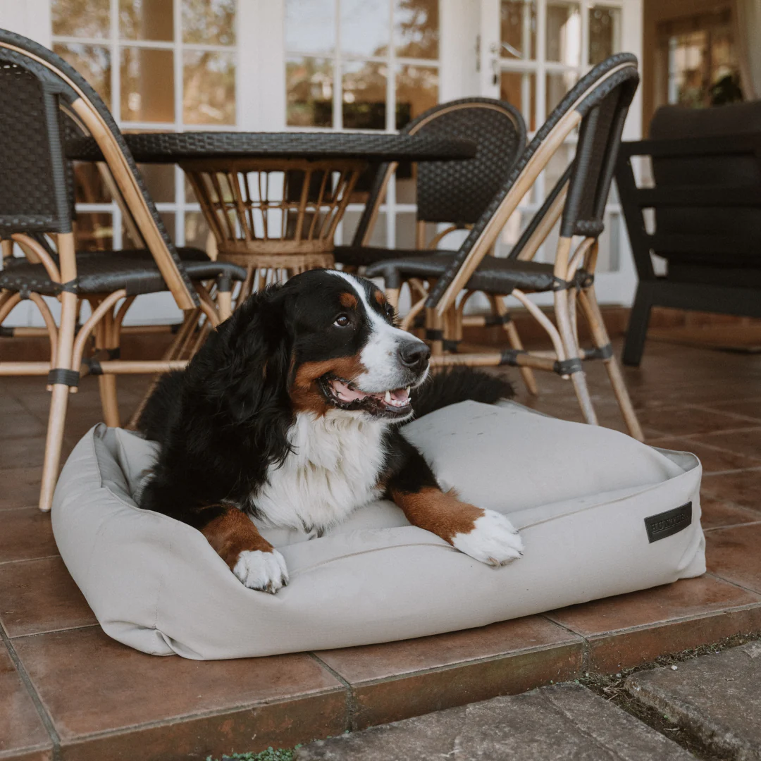 33% off on Huntlea Kalahari Slumber Dog Bed | OneDayOnly