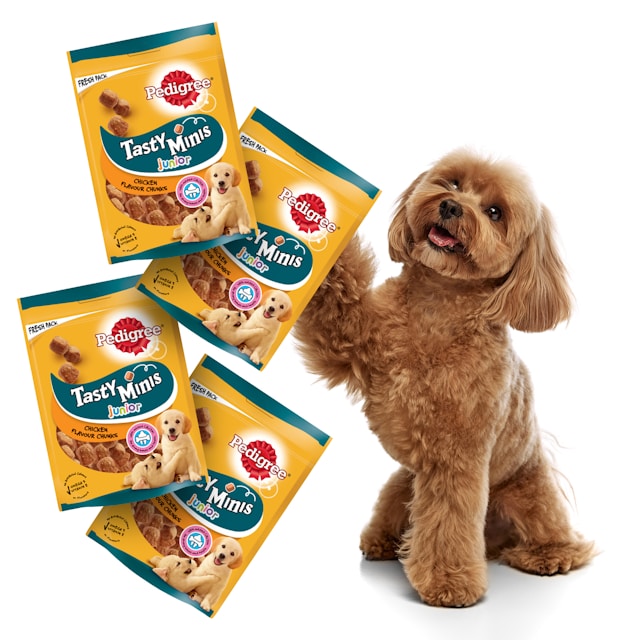 Pedigree 4x Tasty Minis Chewy Chunks Dog Treats | OneDayOnly