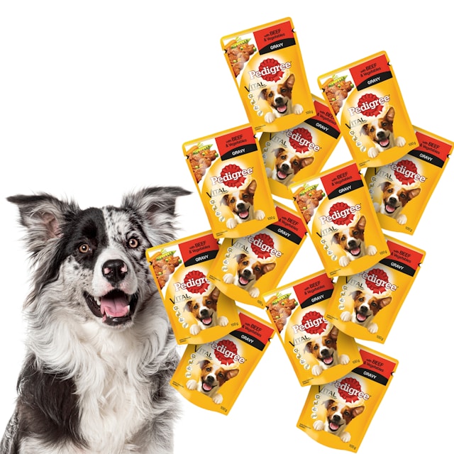 Pedigree 12x 100g Wet Dog Food Packs | OneDayOnly