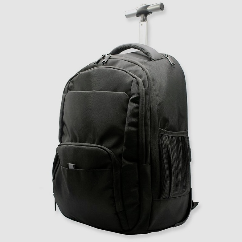 53% off on Hally Arctic Laptop Trolley Backpack | OneDayOnly