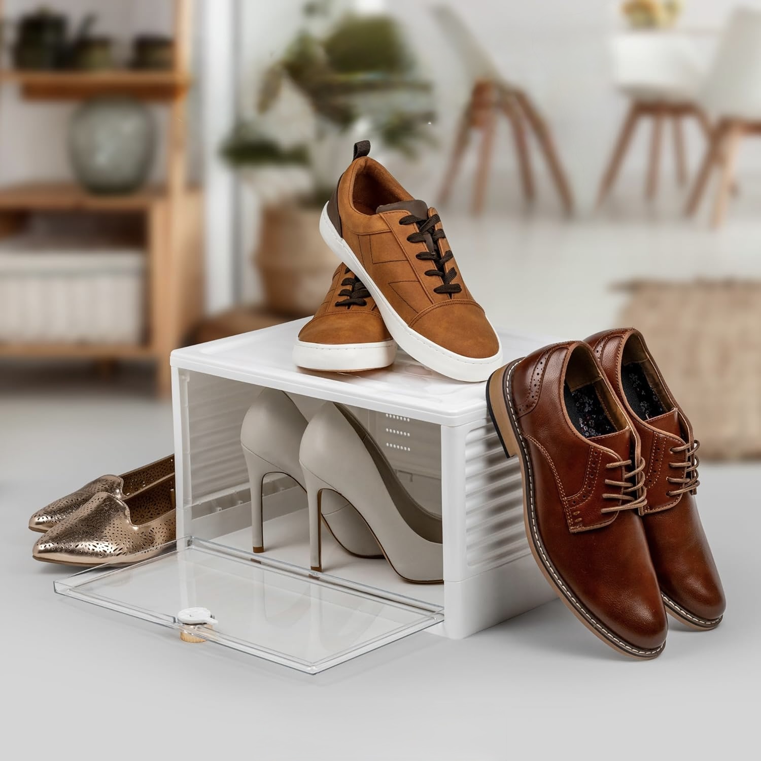 43% off on FlexBoxx Foldable Shoe Display Box | OneDayOnly