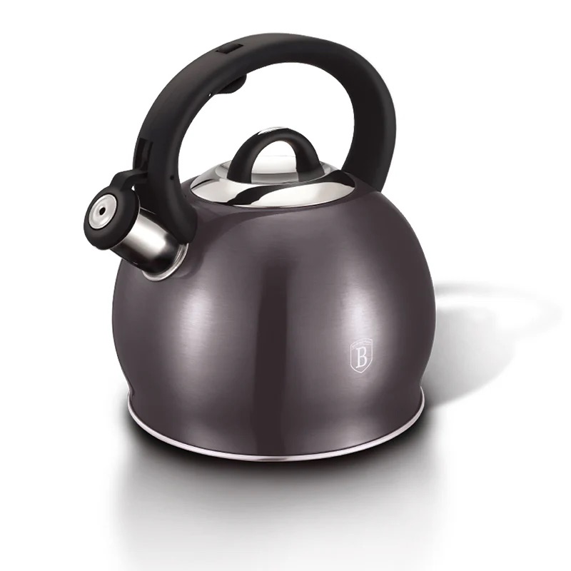 80% off on 3L Stainless Steel Whistling Kettle | OneDayOnly