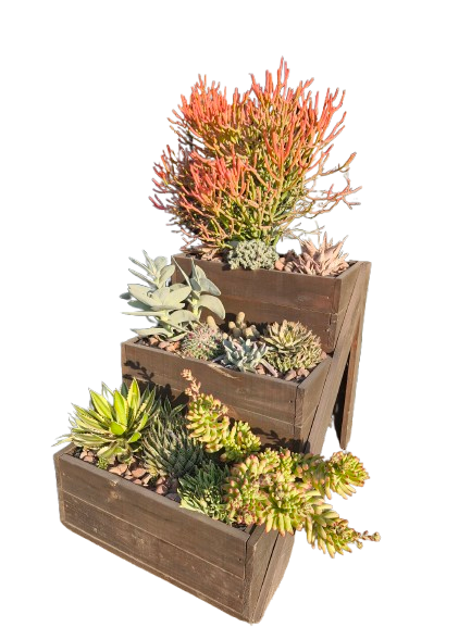 21% off on Aljay's Projects Herb Box Stand | OneDayOnly