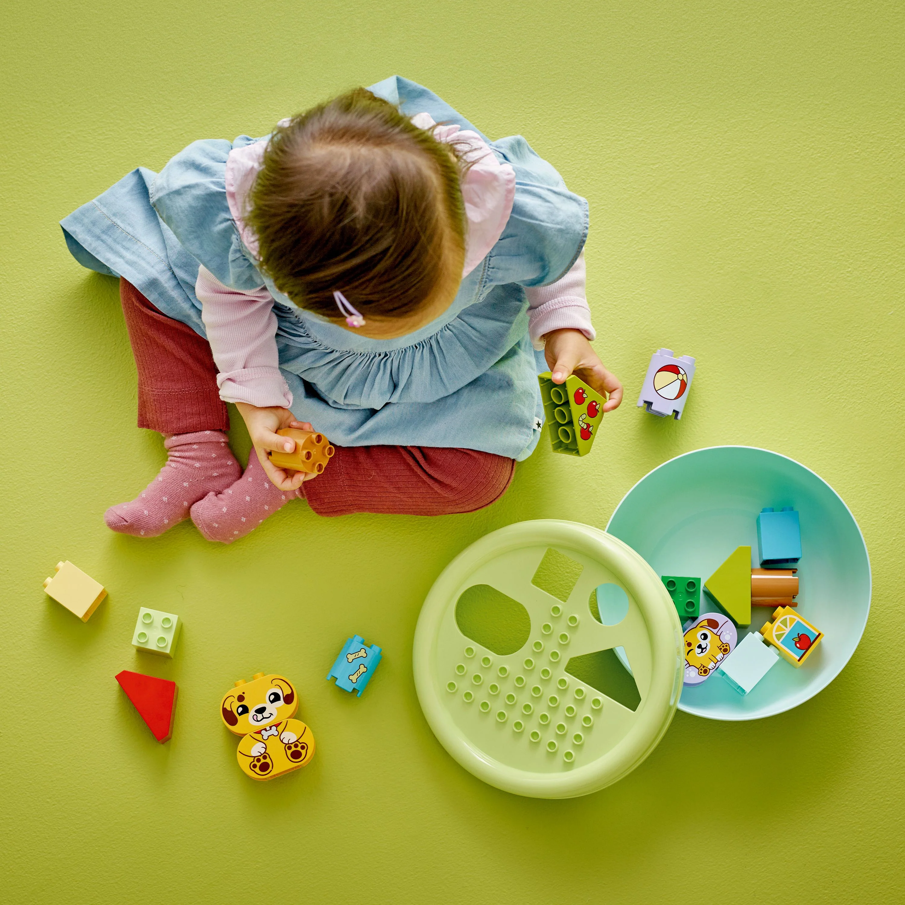 40% off on LEGO Shape Sorter: Puppy House | OneDayOnly