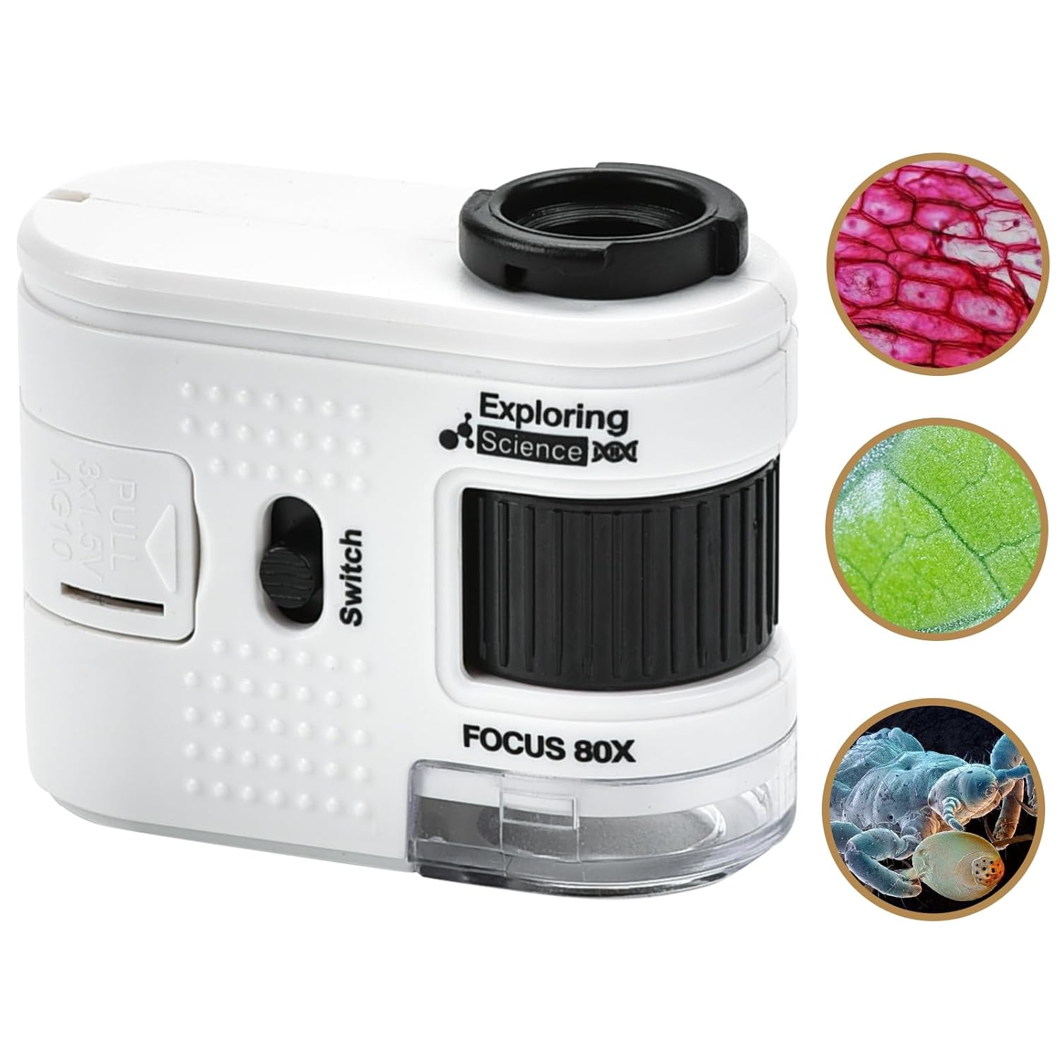 37% off on 80x Magnification Mini Microscope | OneDayOnly