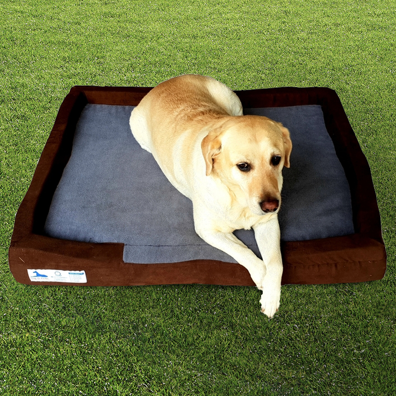 50% off on Certified Orthopedic Dog Throne | OneDayOnly