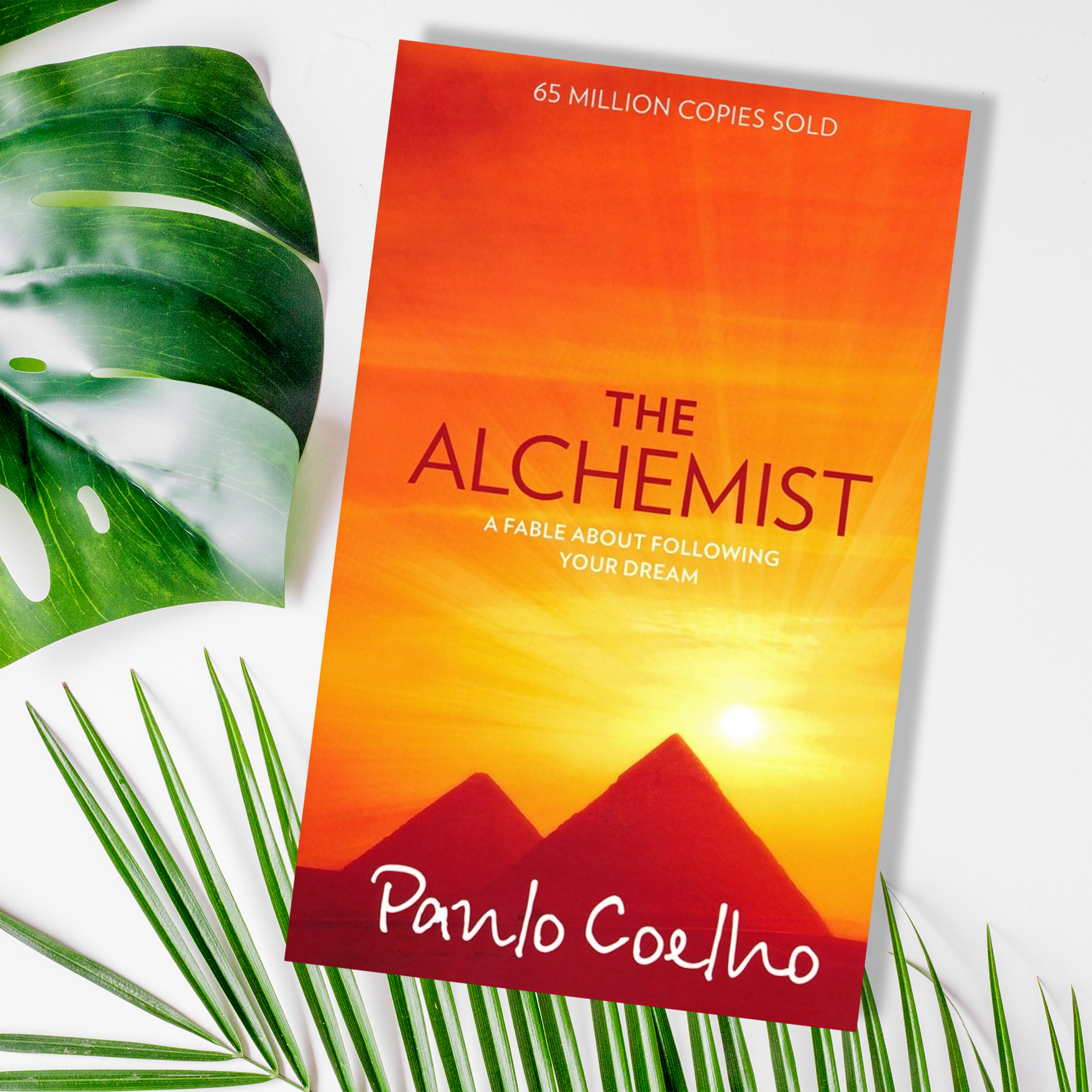 24% off on Paulo Coelho The Alchemist | OneDayOnly