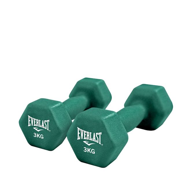 Everlast Vinyl Hexagon Shaped Dumbbell Set | OneDayOnly