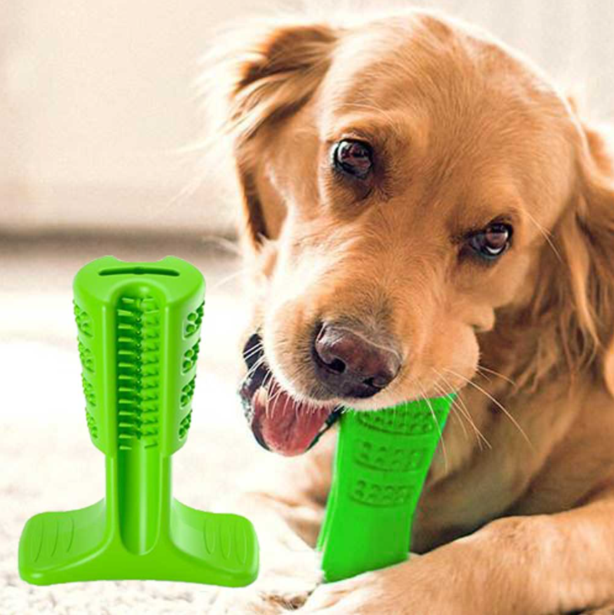 50% off on Pet Pal Dog Toothbrush Toy | OneDayOnly