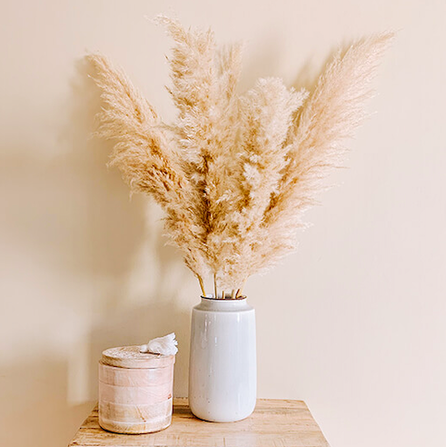 35% off on 5 or 10-Stem Preserved Pampas Plumes | OneDayOnly