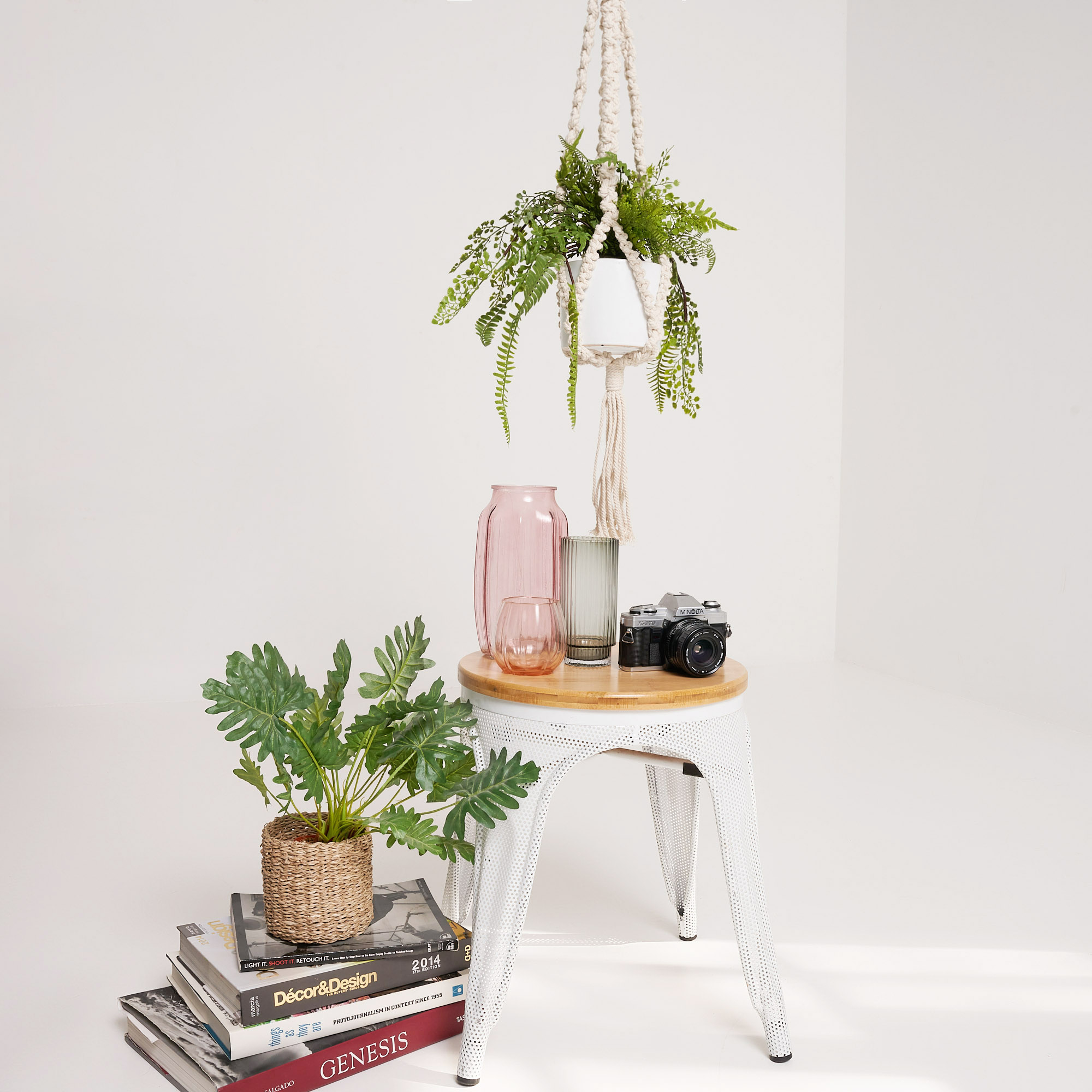 27% off on Entwined Roots Macrame Plant Hanger | OneDayOnly