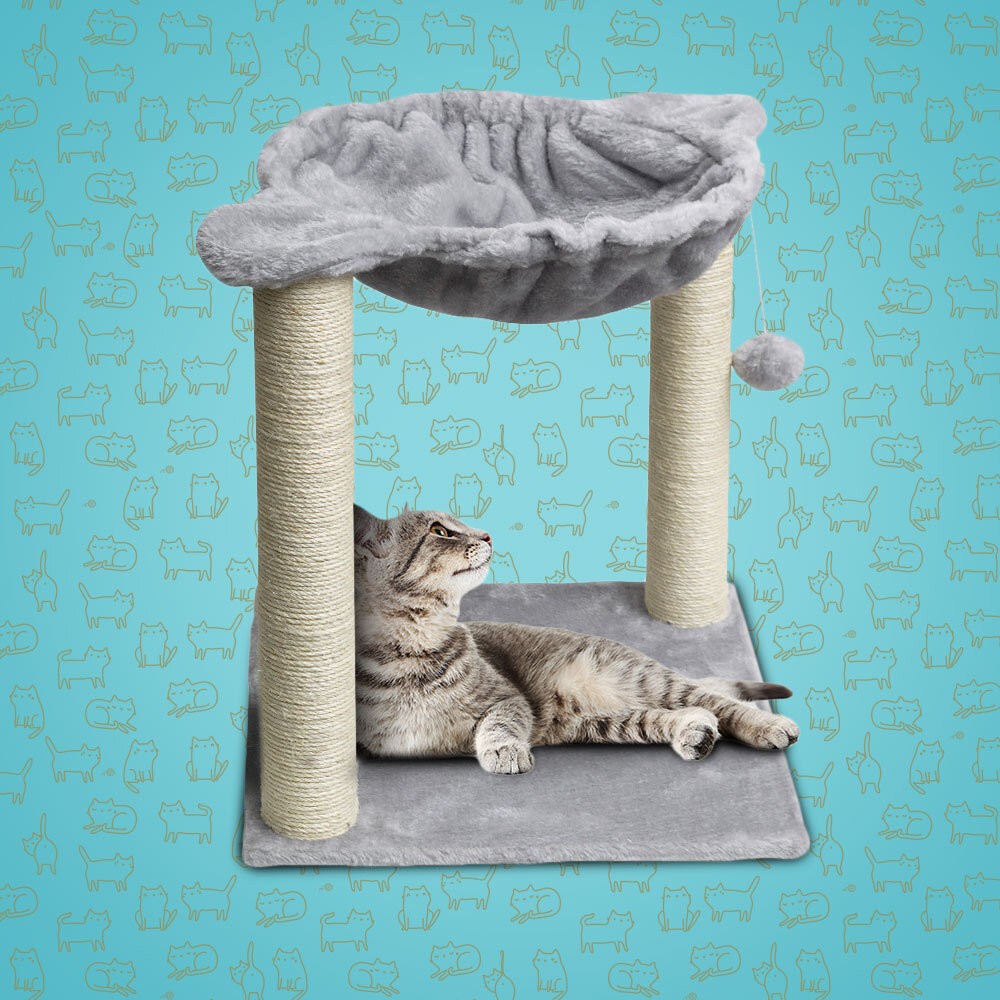 32% off on Rex Double Pole Scratch Tower | OneDayOnly