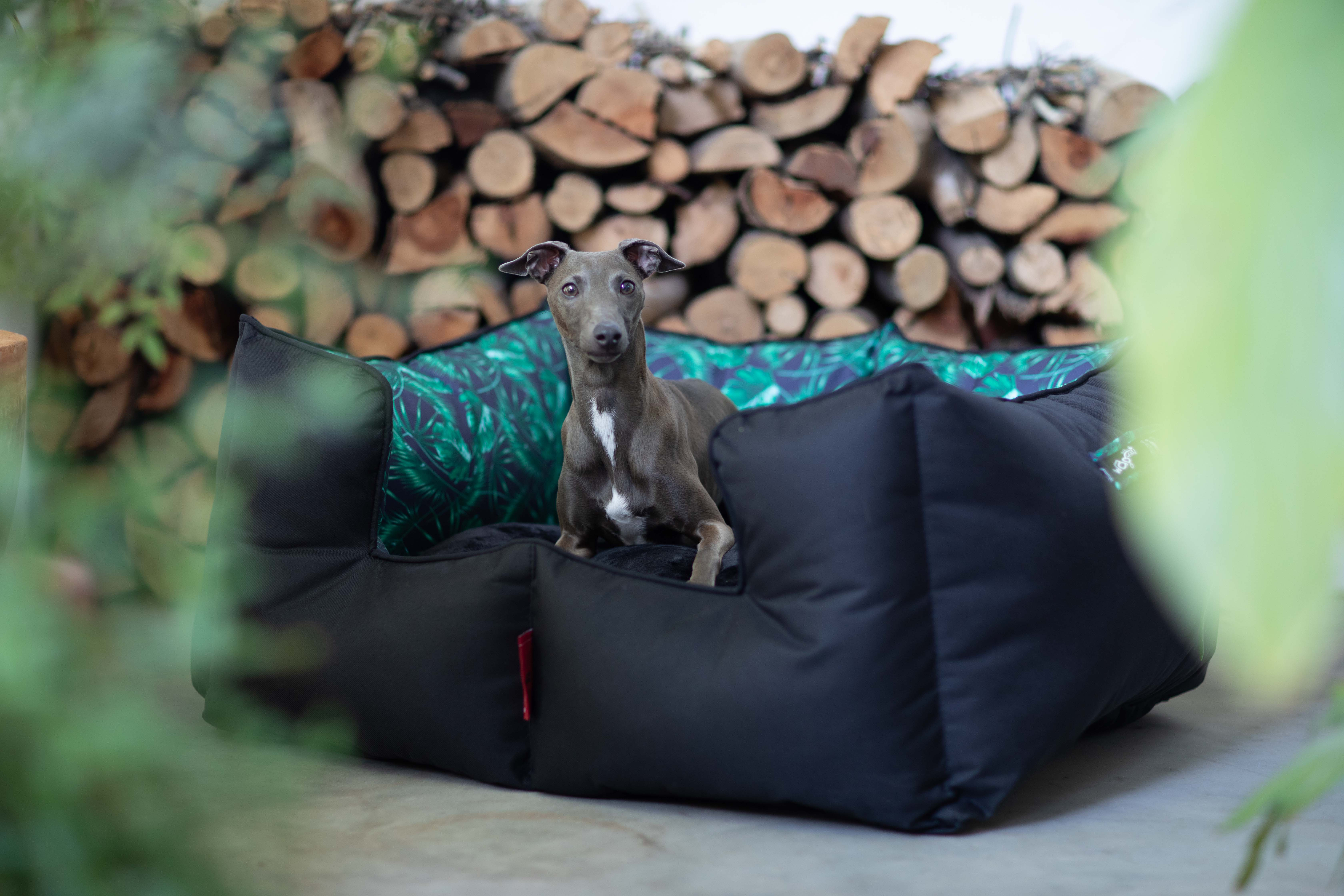 30% off on Wagworld K9 Castle Pet Bed | OneDayOnly