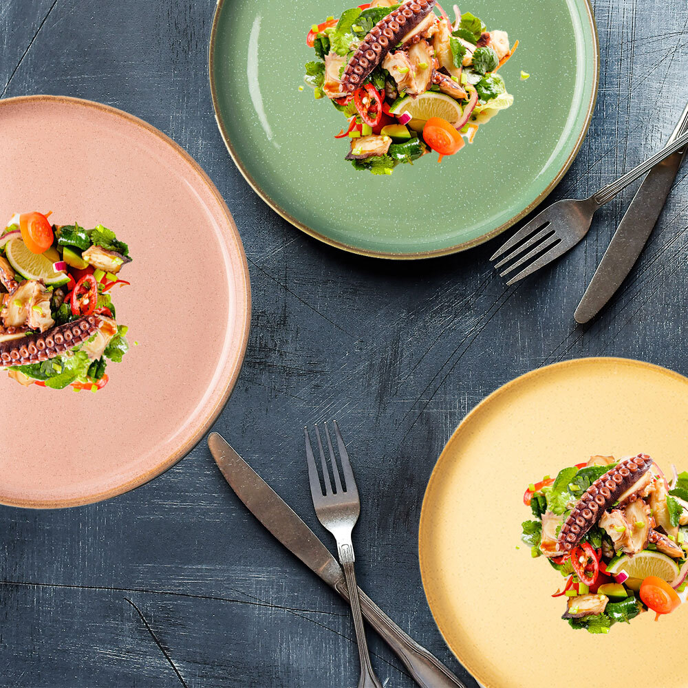 25% off on Omada Set of 4 Dinner Plates | OneDayOnly