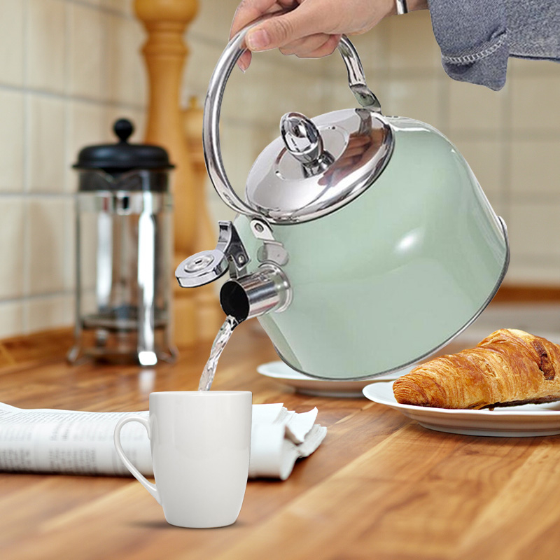 34% off on Refined 2.7L Stove Top Kettle | OneDayOnly