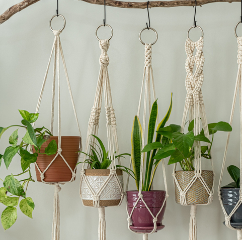 27% off on Entwined Roots Macrame Plant Hanger | OneDayOnly