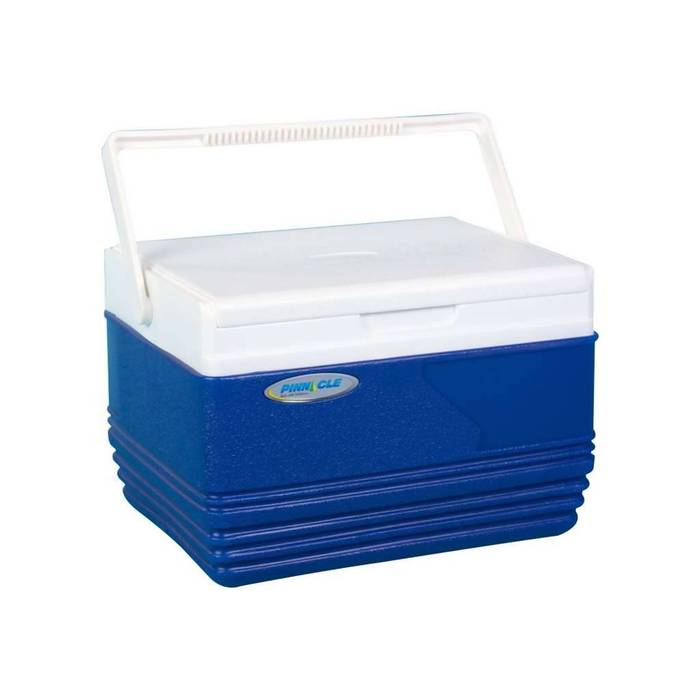 20% off on Totai 11L Cooler Box | OneDayOnly